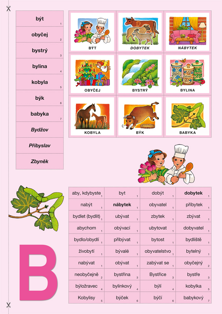 Vyjmenovaná slova v nové grafické úpravě | Alter e-shop